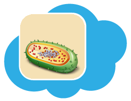 Biogenesis – Your Microbiology Laboratory – rollApp