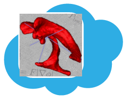 ITK-SNAP Online – rollApp